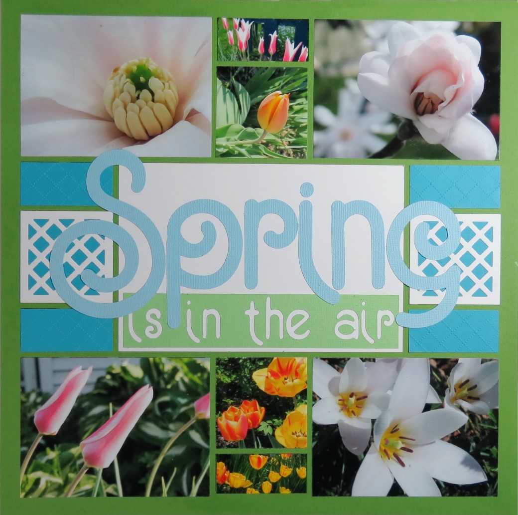 How to Create A Focal Point for Your Layout