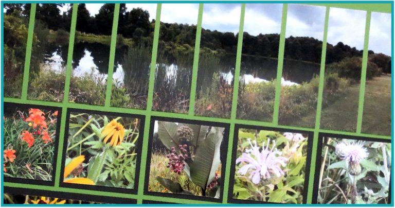 How to Build a Panoramic View - Mosaic Moments Page Layout System