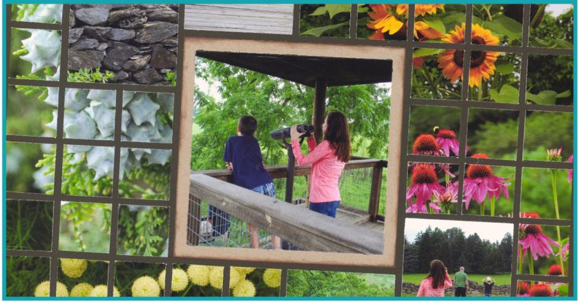 10 Scrapbook Ideas with Mosaic Page Patterns - Mosaic Moments Page ...