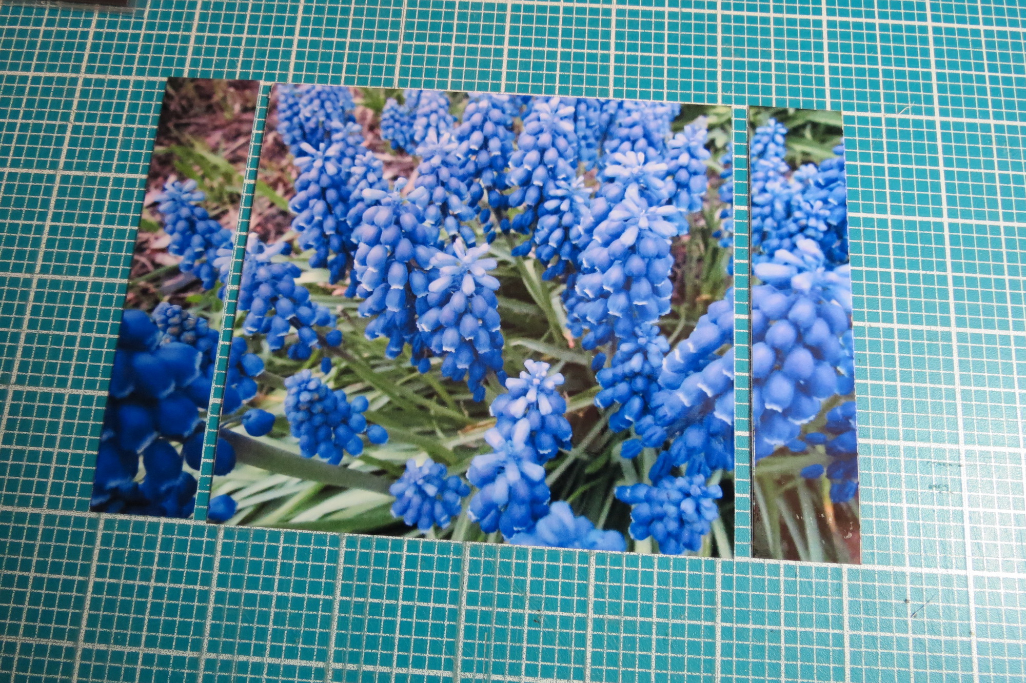 Combining Dies Mosaic Moments Page Layout System