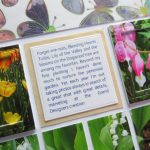 Spring! - Mosaic Moments Page Layout System