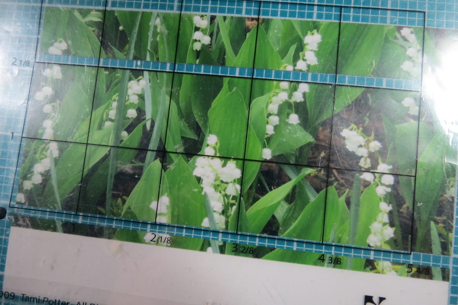 Spring! - Mosaic Moments Page Layout System