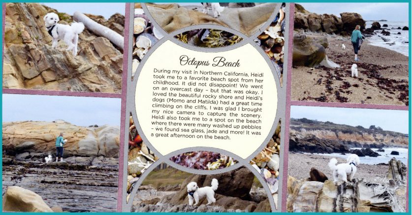 15 ideas for Journaling in unique places and shapes